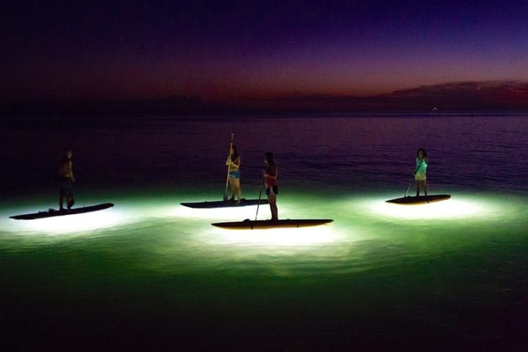 Spectrum P2 lighting system – NOCQUA Adventure Gear